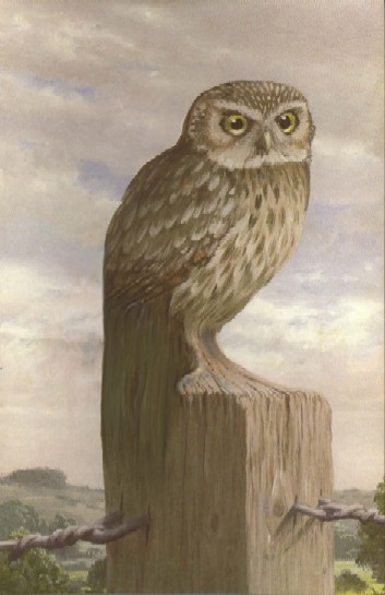 University of Dundee : External Relations : Press Office